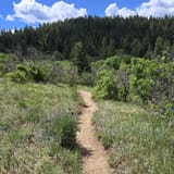 Carpenter Peak Trail, Colorado - 3,518 Reviews, Map | AllTrails