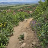Carpenter Peak Trail, Colorado - 3,405 Reviews, Map | AllTrails