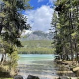 Two Jack Lake Trail, Alberta, Canada - 674 Reviews, Map | AllTrails