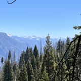 Boole Tree Loop, California - 194 Reviews, Map | AllTrails