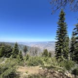 Boole Tree Loop, California - 194 Reviews, Map | AllTrails