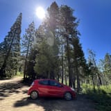Boole Tree Loop, California - 194 Reviews, Map | AllTrails