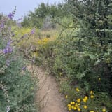 Ray Miller Backbone Trail, California - 2,324 Reviews, Map | AllTrails