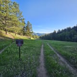 Beaver Brook Trail, Colorado - 1,509 Reviews, Map | AllTrails