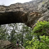 Natural Bridge and Laurel Ridge Trail Loop, Kentucky - 1,956 Reviews ...
