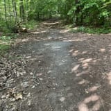Poor Farm Park Trails, Virginia - 641 Reviews, Map | AllTrails