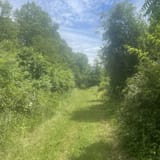 Morgan Run Natural Environmental Area Trails, Maryland - 417 Reviews ...