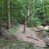 Cascade Falls Loop Trail, Maryland - 2,834 Reviews, Map | AllTrails
