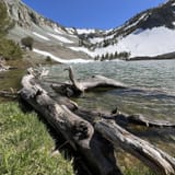 Emma Lake Trail, California - 158 Reviews, Map | AllTrails