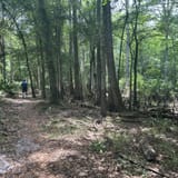 Silver Lake Recreation Area, Florida - 127 Reviews, Map | AllTrails