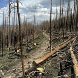 Serpent Lake Trail, New Mexico - 158 Reviews, Map | AllTrails