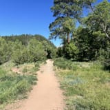 Junction Creek Campground via Junction Creek Trail, Colorado - 455 ...