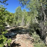 Junction Creek Campground via Junction Creek Trail, Colorado - 455 ...