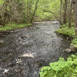 Johnson River Falls Trail, Nova Scotia, Canada - 841 Reviews, Map ...