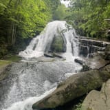 Roaring Run Trail, Virginia - 861 Reviews, Map | AllTrails