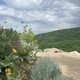 Big Rock Via Elephant Rock Trail, Utah - 2,544 Reviews, Map | AllTrails