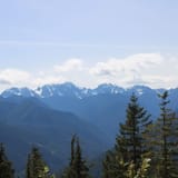 Mount Walker, Washington - 2,163 Reviews, Map | AllTrails