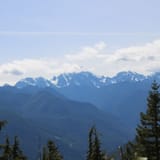 Mount Walker, Washington - 2,163 Reviews, Map | AllTrails