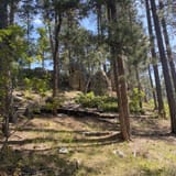 Tinton Trail, South Dakota - 113 Reviews, Map | AllTrails