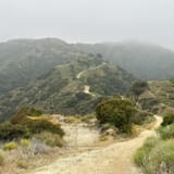 Beaudry Loop, California - 5,419 Reviews, Map | AllTrails
