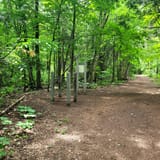 Pinhey Forest 31 Trail, Ontario, Canada - 616 Reviews, Map | AllTrails