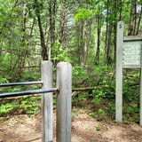 Pinhey Forest 31 Trail, Ontario, Canada - 616 Reviews, Map | AllTrails