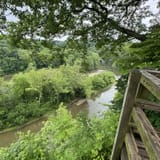 6 Ravine Challenge, Indiana - 889 Reviews, Map | AllTrails