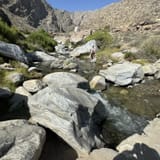 Tahquitz Canyon Loop, California - 4,327 Reviews, Map | AllTrails