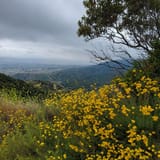 Skyline Drive to Beek's Place, California - 2,600 Reviews, Map | AllTrails