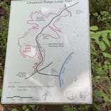 Chestnut Ridge Trail, Virginia - 470 Reviews, Map | AllTrails