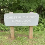 Chestnut Ridge Trail, Virginia - 470 Reviews, Map | AllTrails