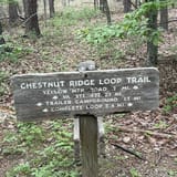 Chestnut Ridge Trail, Virginia - 470 Reviews, Map | AllTrails