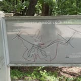 Chestnut Ridge Trail, Virginia - 470 Reviews, Map | AllTrails