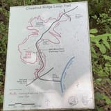 Chestnut Ridge Trail, Virginia - 470 Reviews, Map | AllTrails