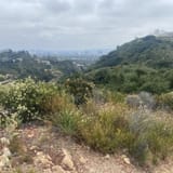 Murphy Ranch Trail, California - 3,914 Reviews, Map | AllTrails