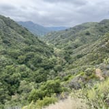 Murphy Ranch Trail, California - 3,914 Reviews, Map | AllTrails