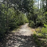 Apoxee and Owahee Trail Loop, Florida - 401 Reviews, Map | AllTrails
