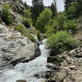 Adams Canyon Trail, Utah - 7,314 Reviews, Map | AllTrails