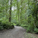 Wildside Trail, Washington - 199 Reviews, Map | AllTrails