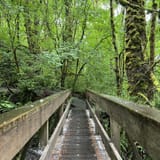 Wildside Trail, Washington - 199 Reviews, Map | AllTrails