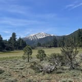 Dry Pond Loop, Nevada - 1,505 Reviews, Map | AllTrails