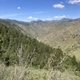 Beaver Brook Trail, Colorado - 1,358 Reviews, Map | AllTrails