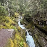 Comet Falls via Van Trump Trail, Washington - 2,366 Reviews, Map ...