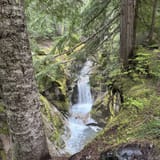 Comet Falls via Van Trump Trail, Washington - 2,366 Reviews, Map ...
