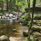 Reeves Brook Loop Trail, New York - 4,698 Reviews, Map | AllTrails