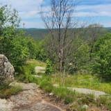 Reeves Brook Loop Trail, New York - 4,698 Reviews, Map | AllTrails