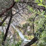 Cold Spring Loop, California - 2,302 Reviews, Map | AllTrails