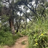 Cold Spring Loop, California - 2,189 Reviews, Map | AllTrails