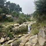 Cold Spring Loop, California - 2,302 Reviews, Map | AllTrails
