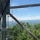 Mount Toby Trail, Massachusetts - 1,098 Reviews, Map | AllTrails